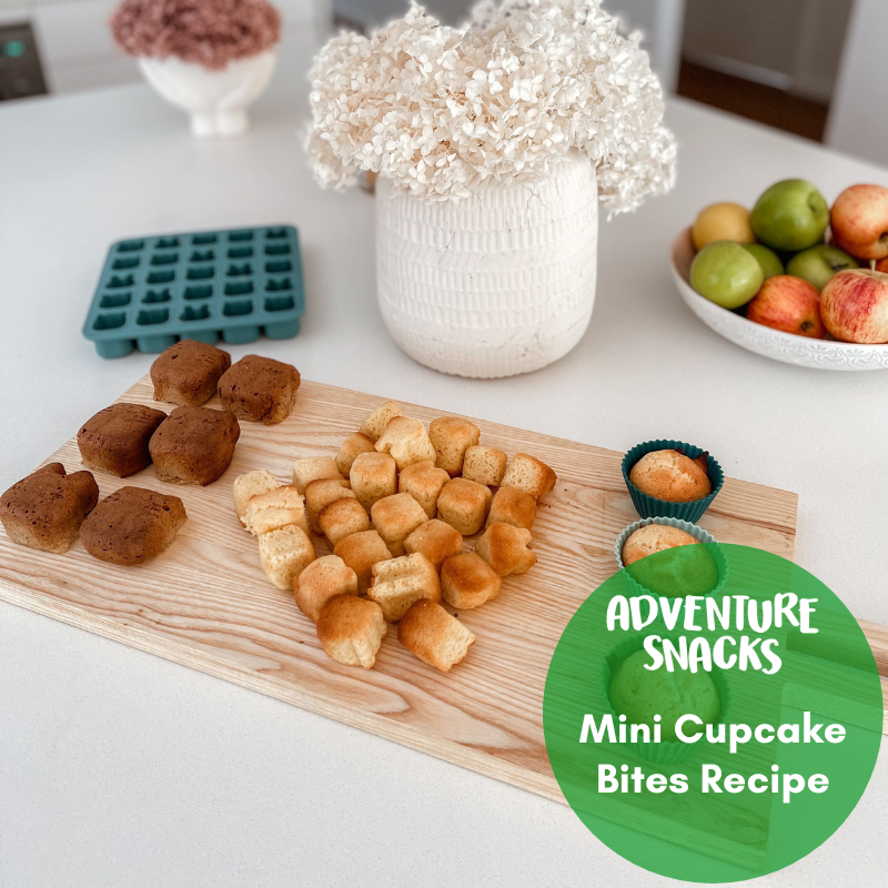 Delicious Cupcake Bites – Adventure Snacks
