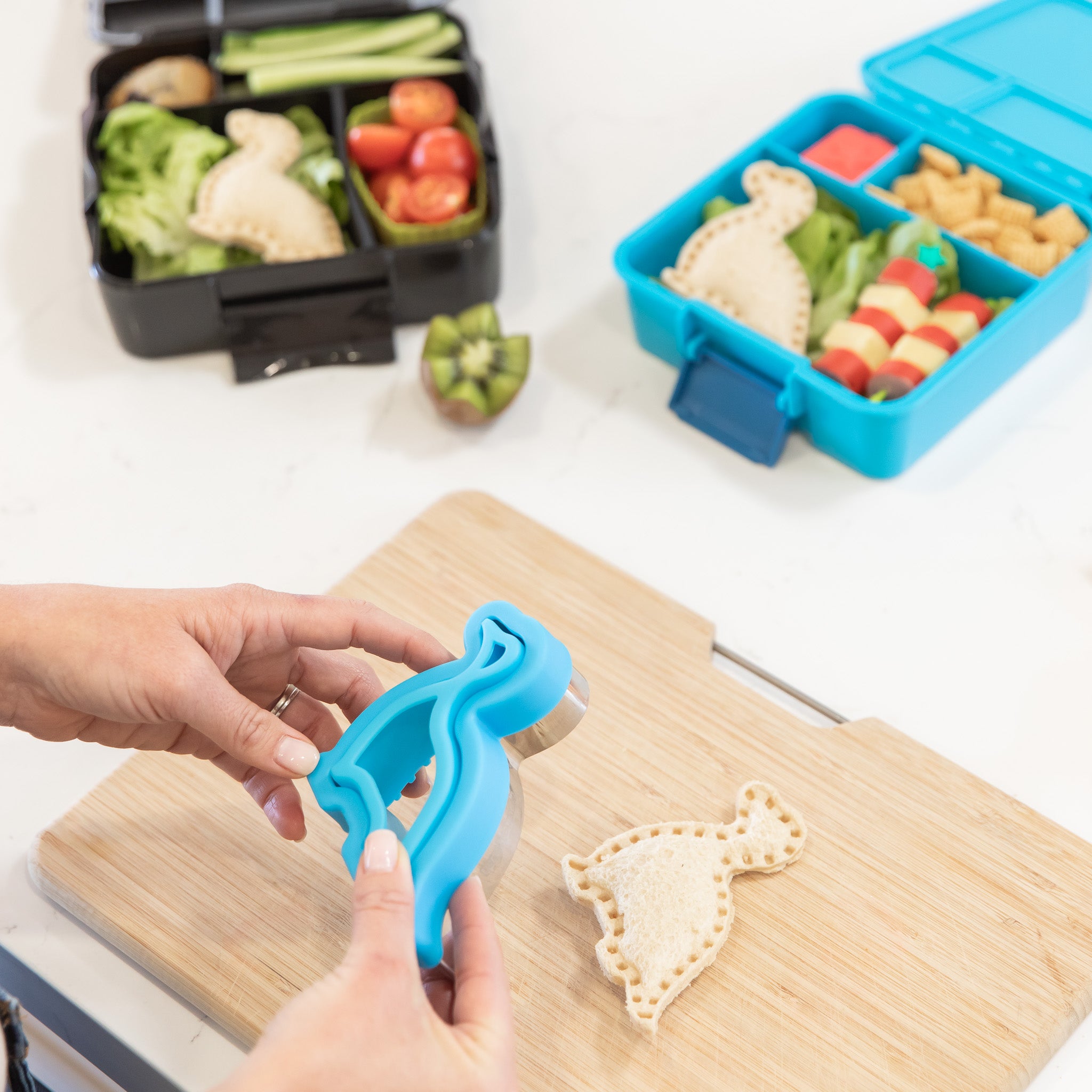 Lunchbox Accessories – Adventure Snacks