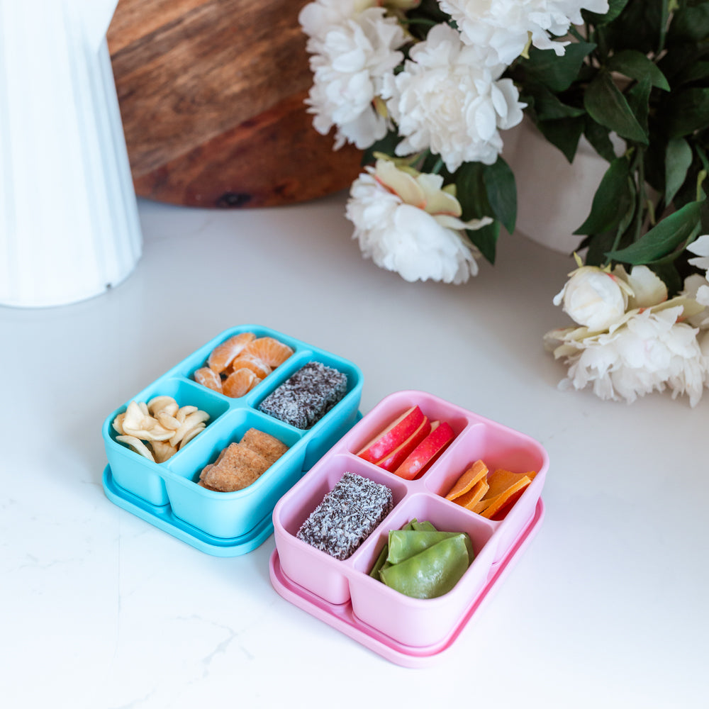 Adventure Snacks Silicone Snack Box - 4 Compartment